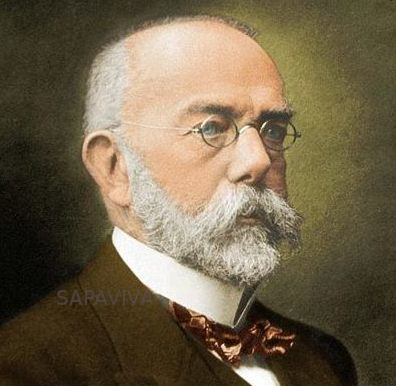 Robert Koch's Instagram, Twitter & Facebook on IDCrawl