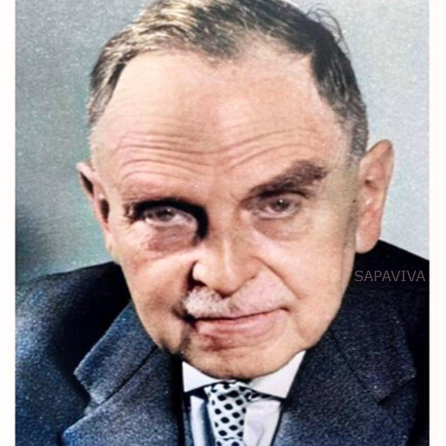 85. OTTO HAHN – SAPAVIVA
