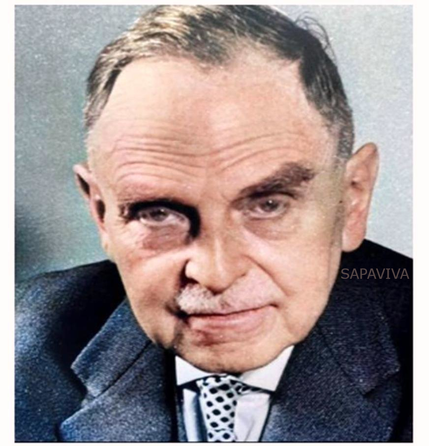 85. OTTO HAHN – SAPAVIVA